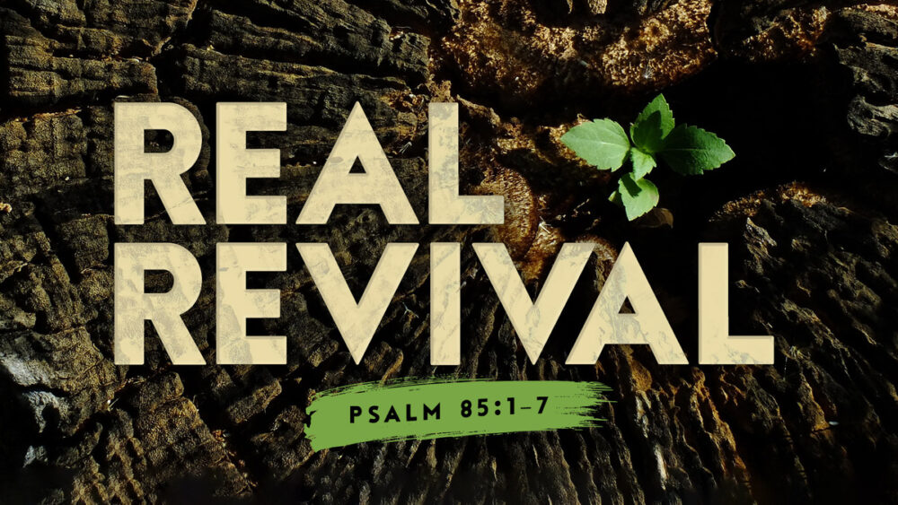 Real Revival - Grace Baptist Church Knoxville, Tennessee